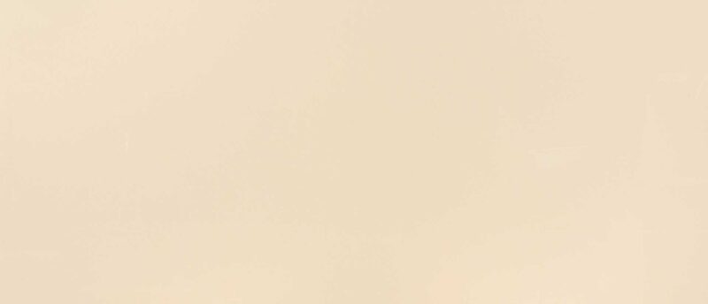 MSI SURFACES - IVORY CREAM ☑️ Best Online Flooring Store